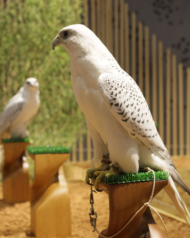 Environment Agency – Abu Dhabi collaborates with ADNOC Distribution to ...