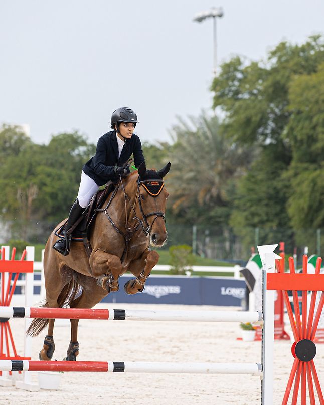 FBMA International Show Jumping Cup