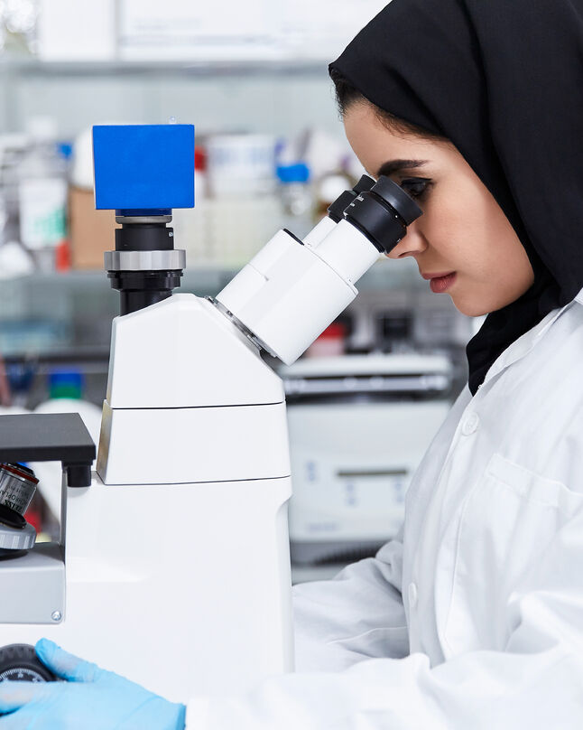 Rafed Appoints Rashed Saif Al Qubaisi as CEO to Spearhead Pioneering ...