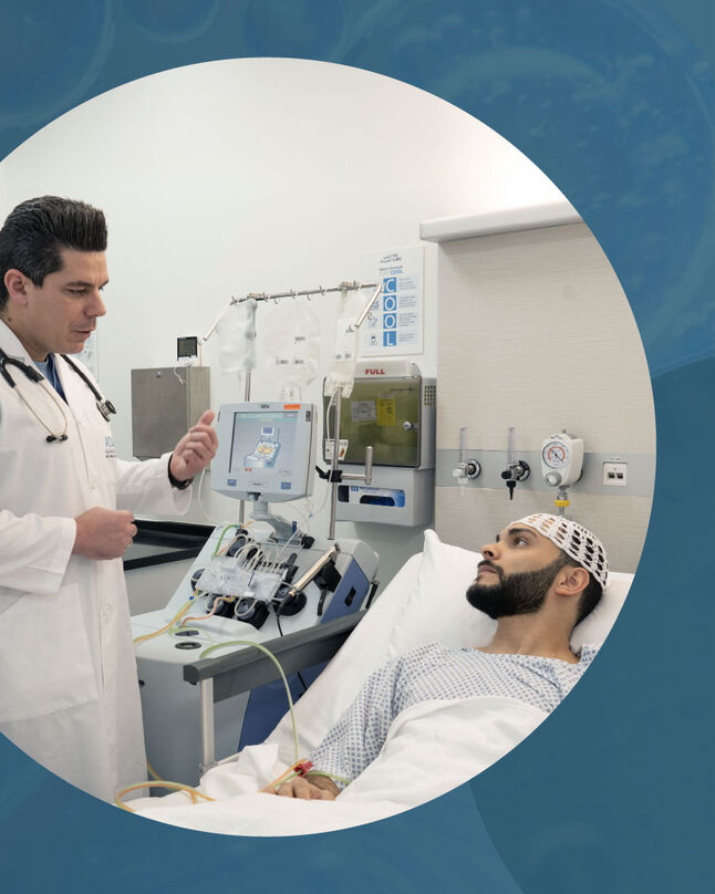 Daman transfers Abu Dhabi Basic Plan renewal services for domestic ...