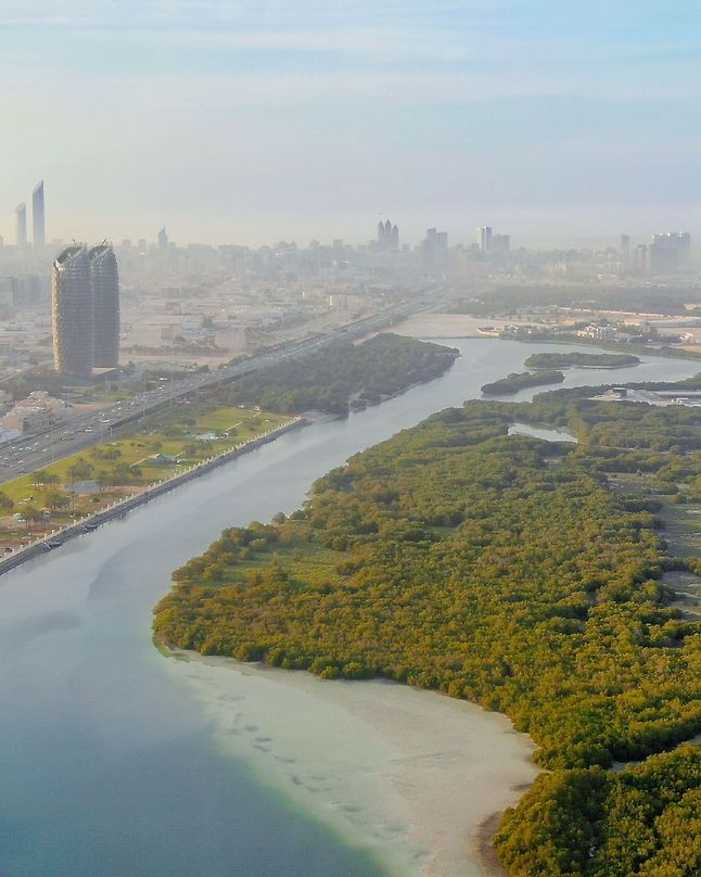 TAQA, Mubadala and ADNOC complete Masdar transaction to grow renewable ...