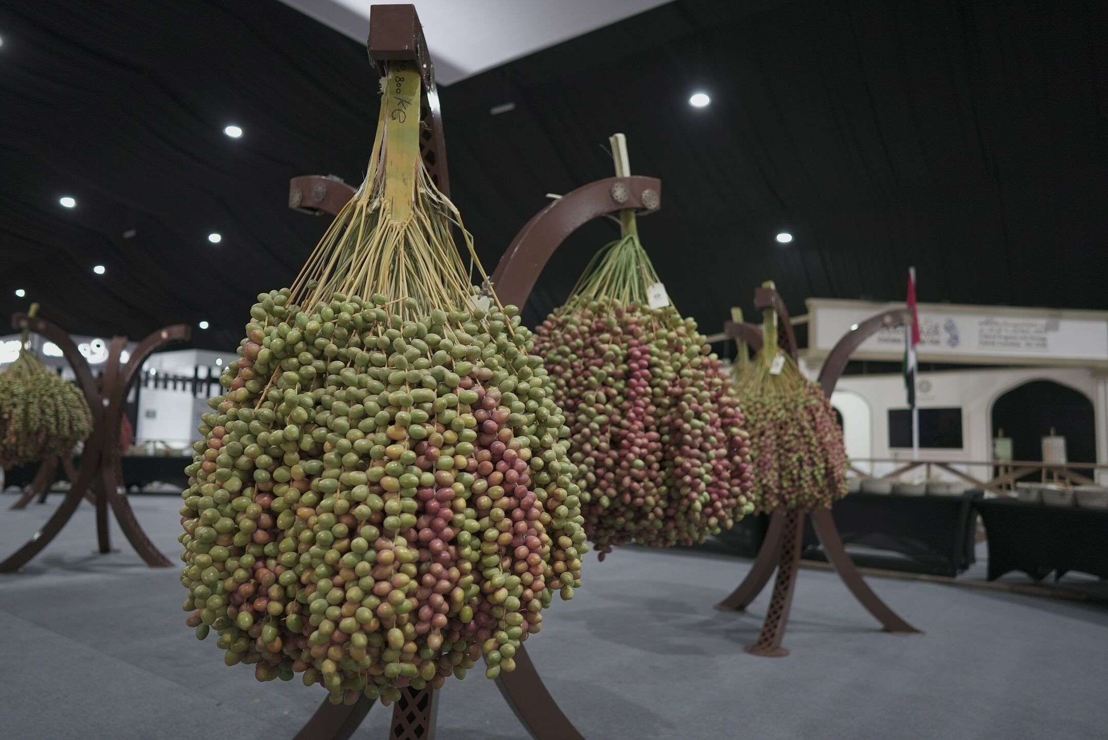 Liwa Date Festival