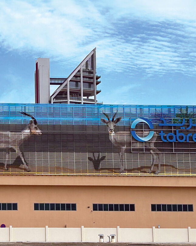 National Central Cooling Company PJSC (Tabreed)