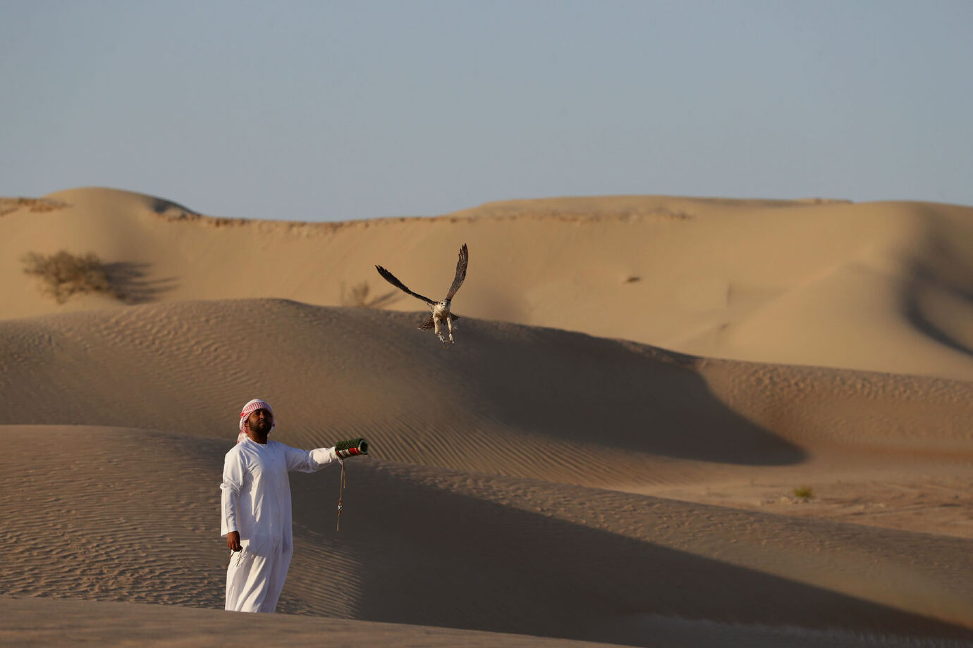 Al Marzoom Hunting Reserve’s seventh season will run 1 November