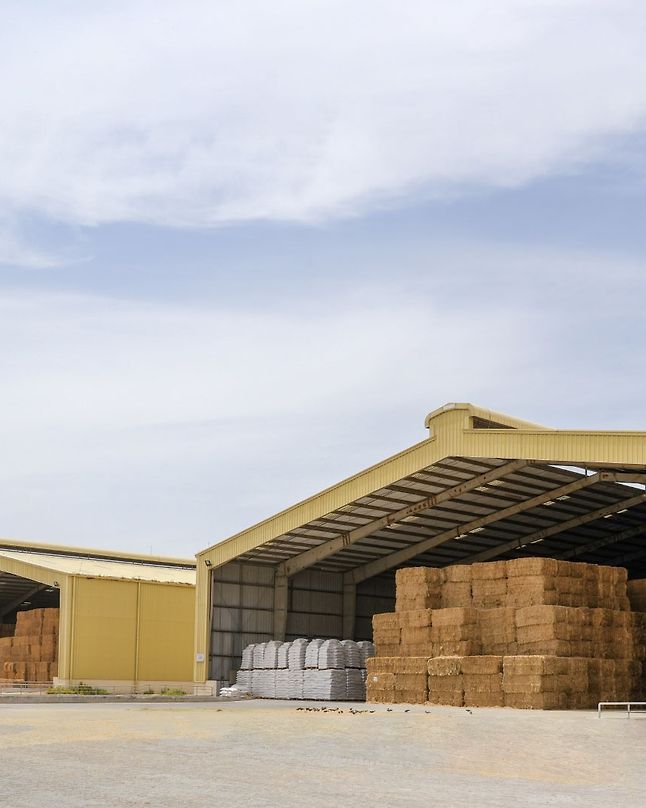 ADAFSA launches Zadna Rating app to display food outlet evaluation ...