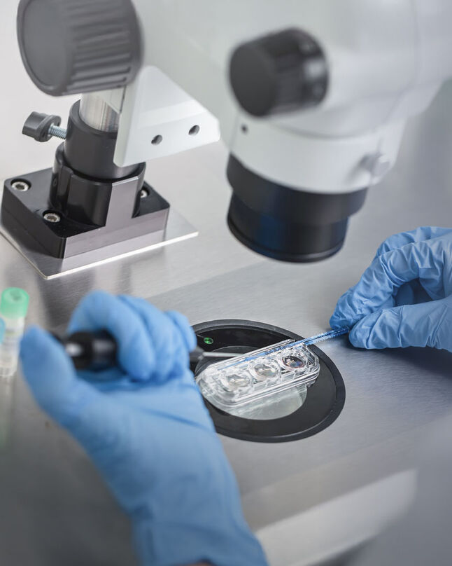 National Health Insurance Company – Daman reveals key updates to Basic ...