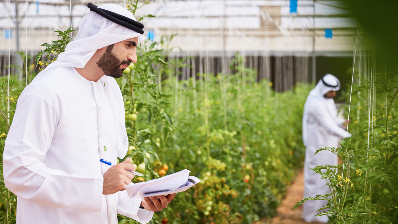 Abu Dhabi Agriculture and Food Safety Authority expands food waste ...