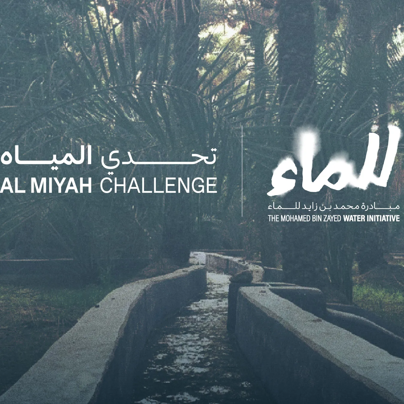 Mohamed bin Zayed Water Initiative launches Al Miyah Challenge to accelerate innovative water ...