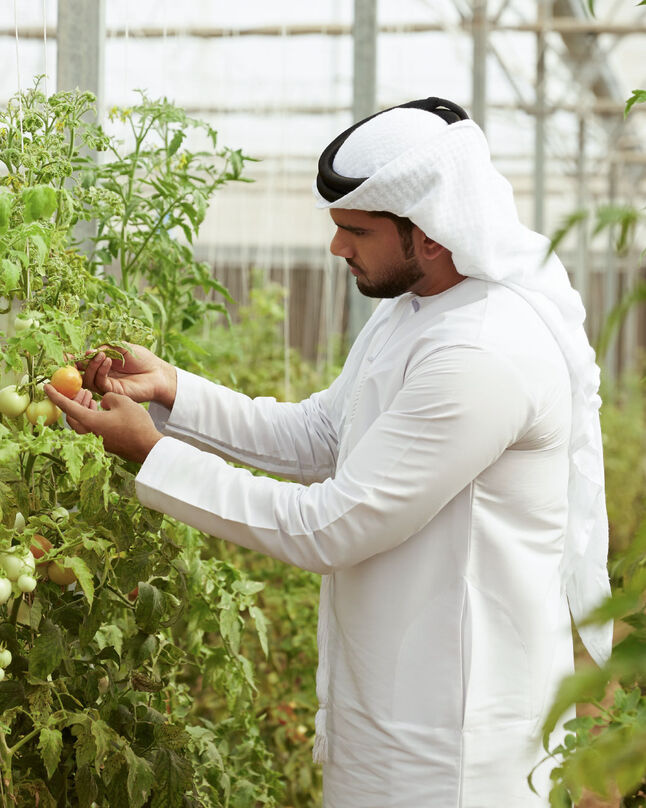 ADAFSA launches Zadna Rating app to display food outlet evaluation ...