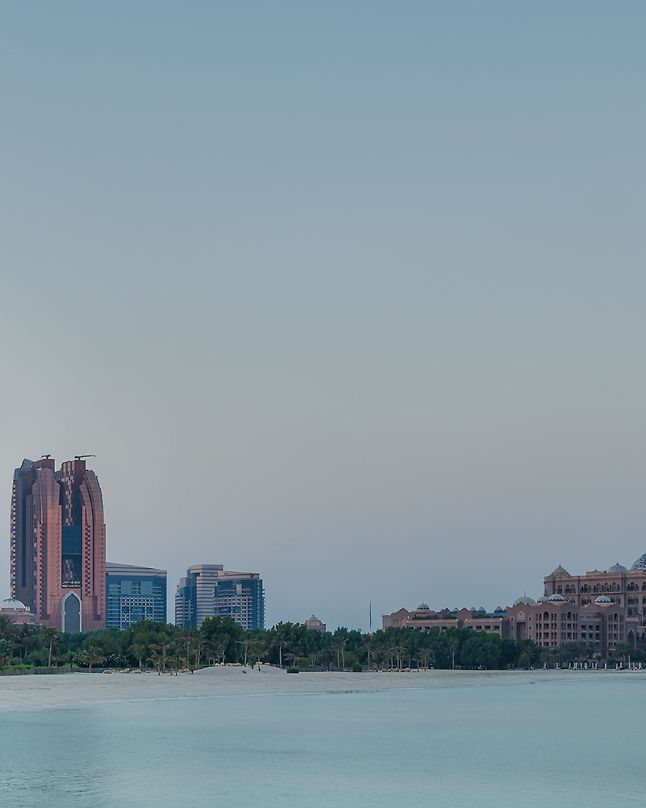 Abu Dhabi Accountability Authority (ADAA) The First Government Entity ...