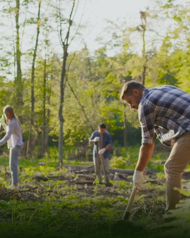 Zayed Sustainability Prize