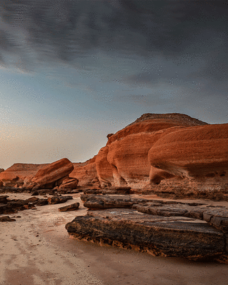 Channels | Abu Dhabi Government Media Office