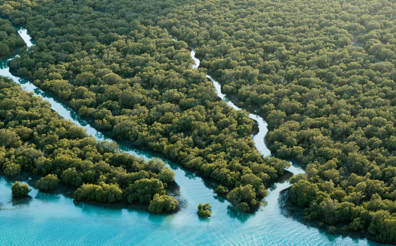 The Environment Agency - Abu Dhabi Announces the “Ghars Al Emarat ...