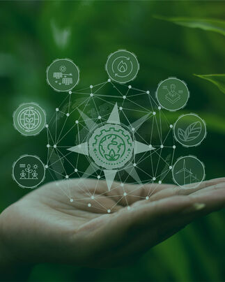 Abu Dhabi Agriculture And Food Safety Authority