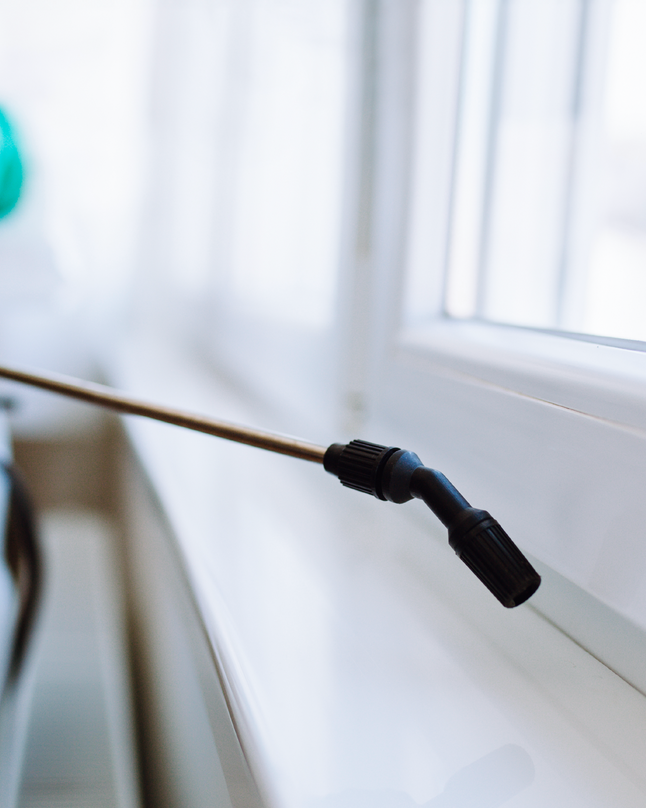 Abu Dhabi Public Health Centre (ADPHC) launches the IFHAS program