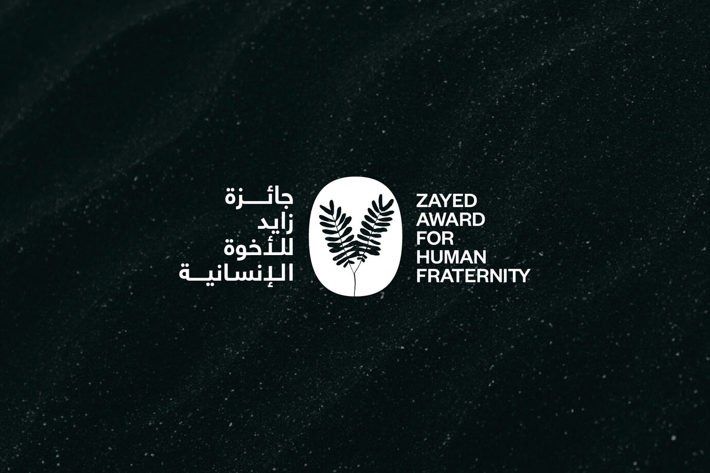 Zayed Award For Human Fraternity Announces 2024 Honorees Organizations
