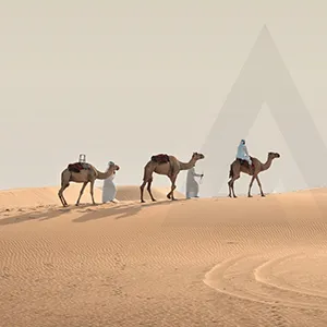 In collaboration with Abu Dhabi Heritage Authority, Emirates Foundation ...