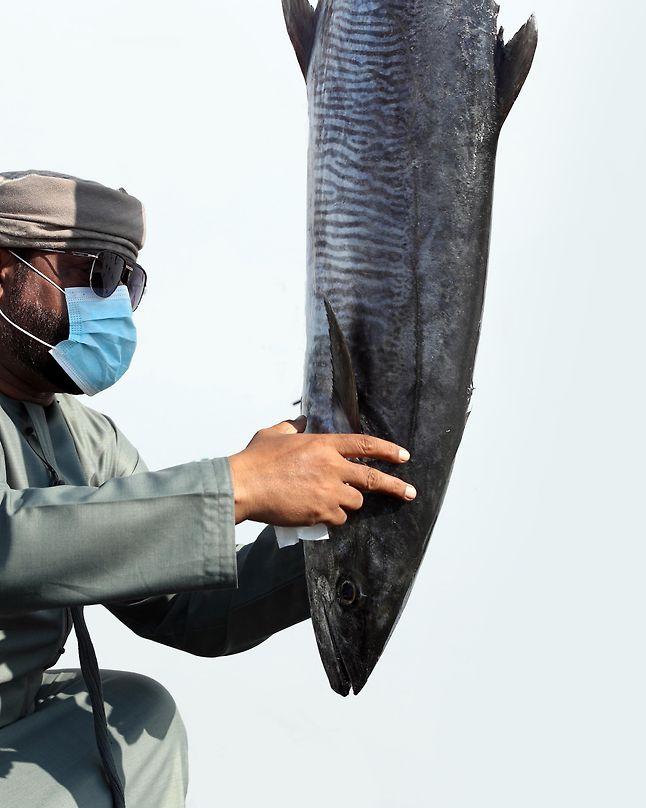 Al Dhafra Grand Kingfish Championship