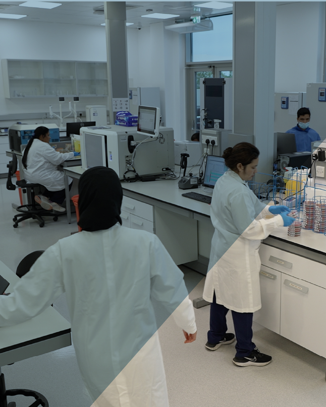 Abu Dhabi QCC launches conformity certificate issuance services via website