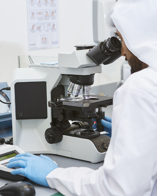 Sheikh Khalifa Medical City (SKMC)