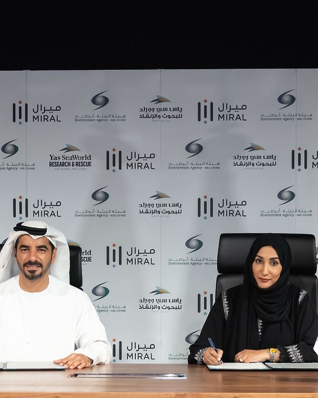 Miral and Warner Bros. Discovery Announce Harry Potter Themed Land ...