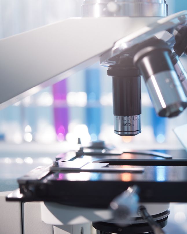 Abu Dhabi Public Health Centre (ADPHC) launches the IFHAS program