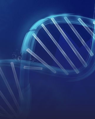 Emirati Genome Programme