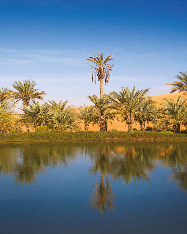 Sheikh Hamdan bin Zayed Environmental Award