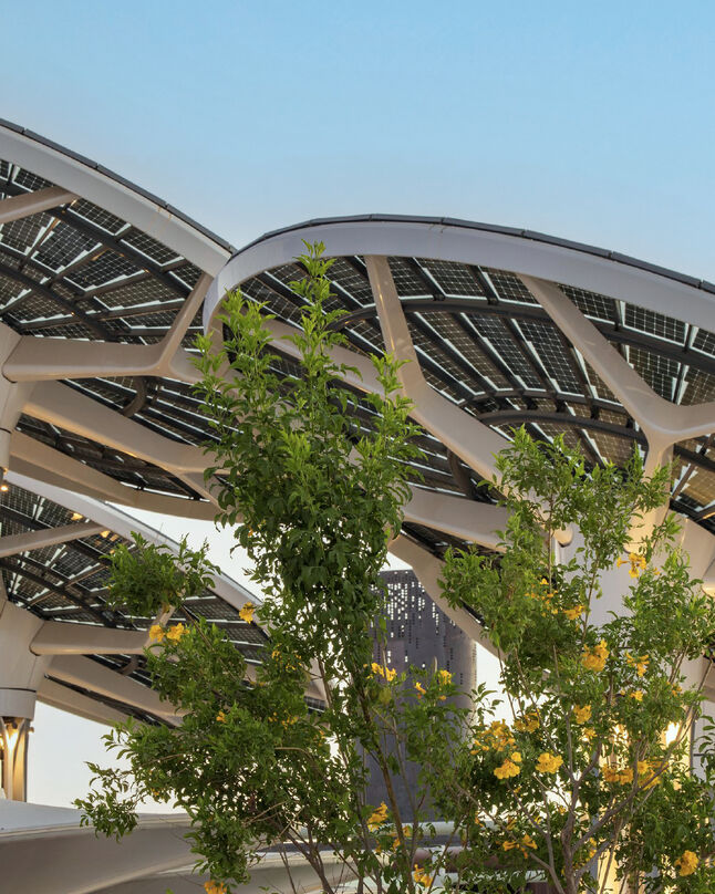 Abu Dhabi Sustainability Week