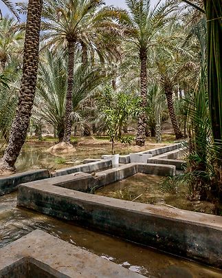 ADAFSA launches Food Import and Export Management Information System