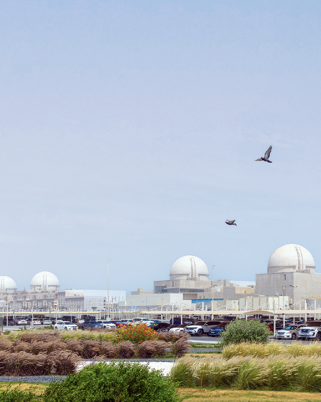 Emirates Nuclear Energy Company launches ENEC Consulting to support new ...