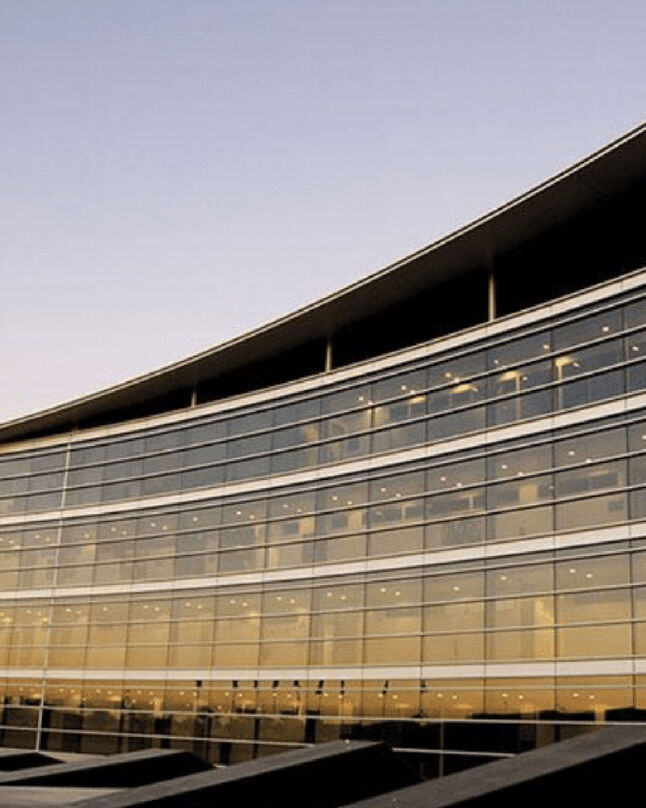 United Arab Emirates University ranks 38th globally and first in UAE in ...