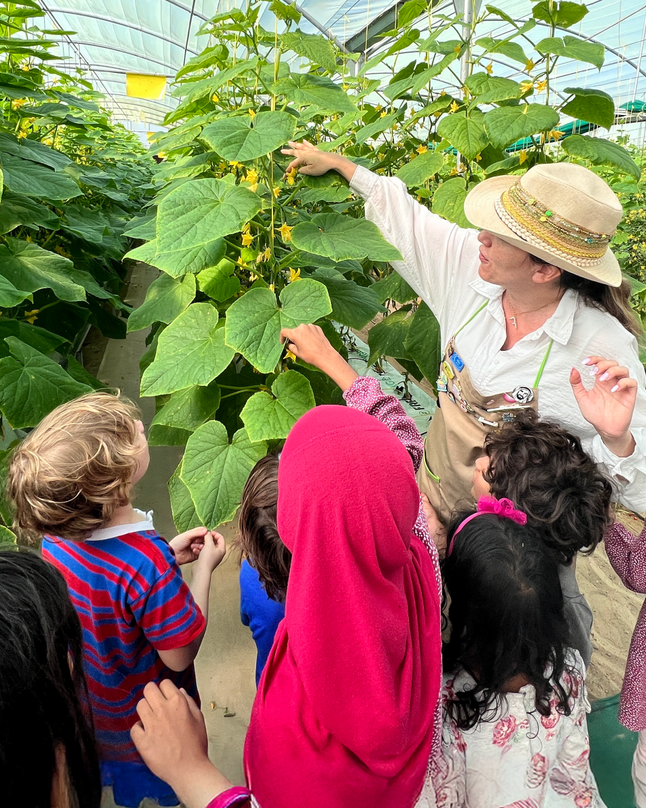 Mohamed Bin Zayed University of Artificial Intelligence (MBZUAI)