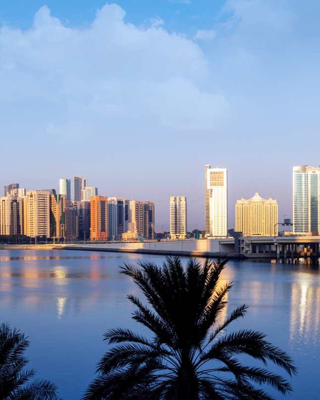 Abu Dhabi National Insurance Company announces strategic partnership ...