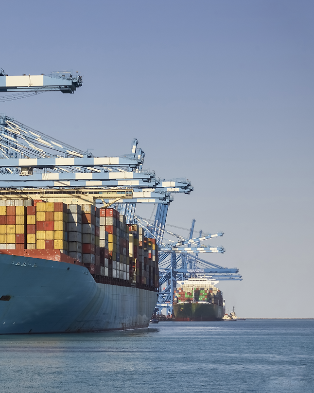 Advanced Trade and Logistics Platform (ATLP)