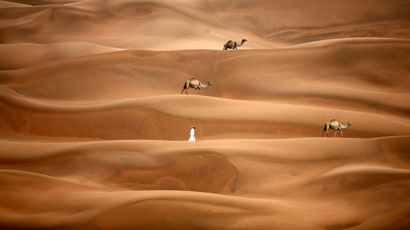 Under the patronage of the UAE President, Al Dhafra Festival to begin ...