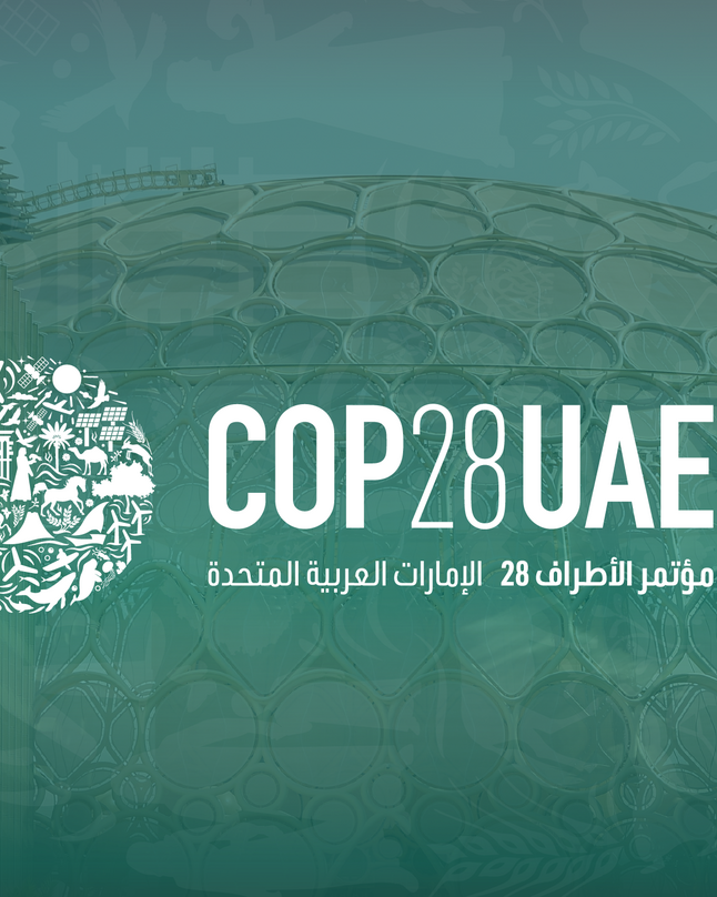 Masdar to host World Future Energy Summit 2024 in Abu Dhabi