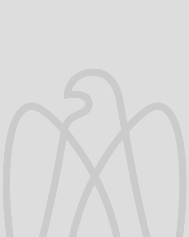 Abu Dhabi Center for Sheltering and Humanitarian Care – Ewaa reveals ...