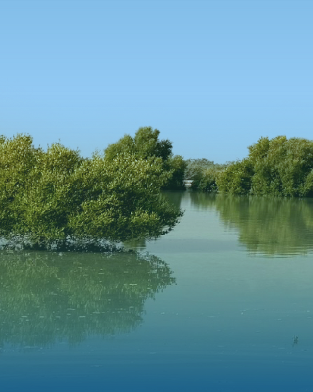 Abu Dhabi National Energy Company – TAQA