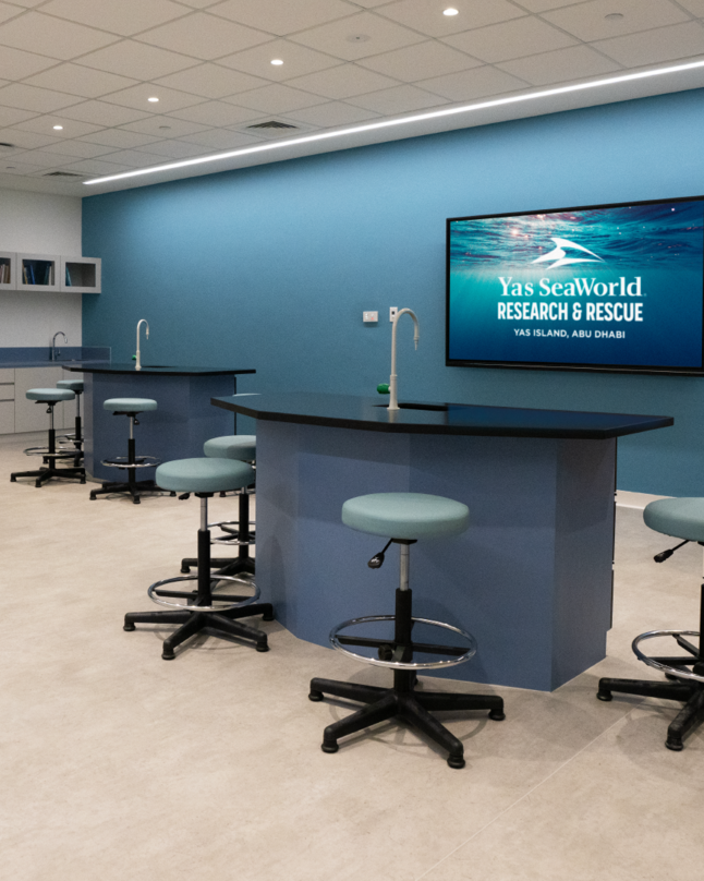 SeaWorld Yas Island, Abu Dhabi sets record as world’s largest indoor ...