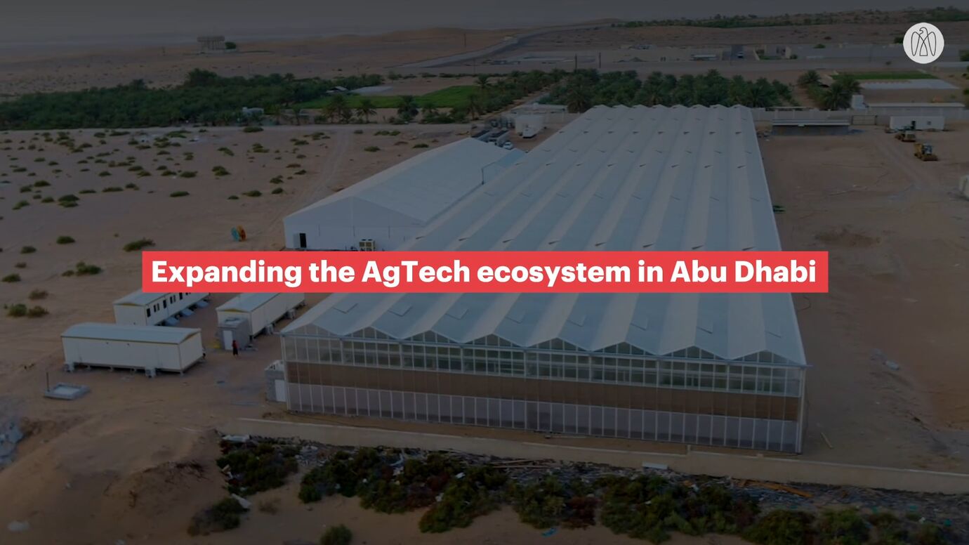 Abu Dhabi’s AgTech ecosystem expands across land, sea and space | Abu Dhabi Media Office