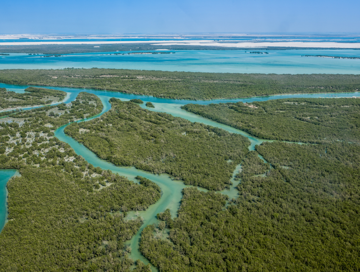 Environment Agency - Abu Dhabi and ENGIE complete Phase II of the ...