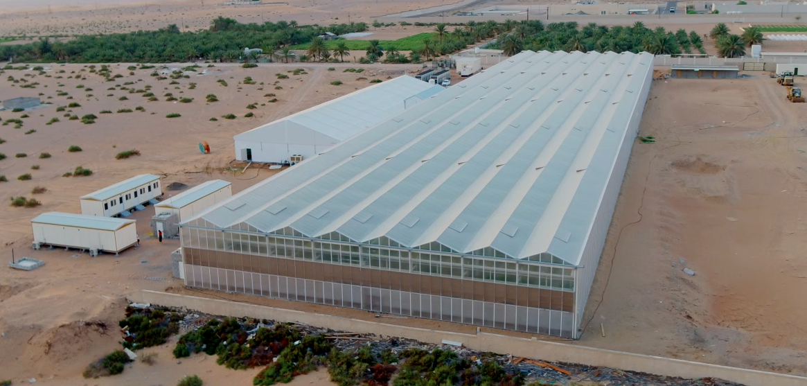 Abu Dhabi’s AgTech ecosystem expands across land, sea and space | Abu ...