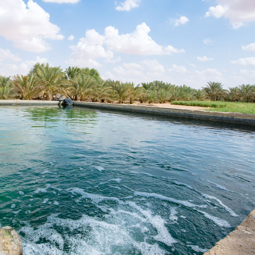 Environment Agency – Abu Dhabi Announces 2021 Achievements for the ...