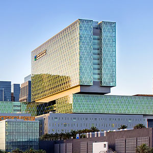 Department of Health – Abu Dhabi appoints Cleveland Clinic Abu Dhabi as ...