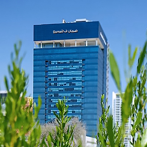 Daman achieves 84% growth in profits in three years