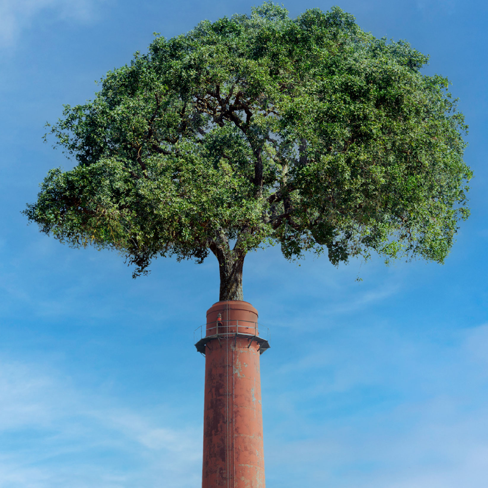 DoE Confirms Plans to Support UAE’s Ambitious Net Zero by 2050 ...