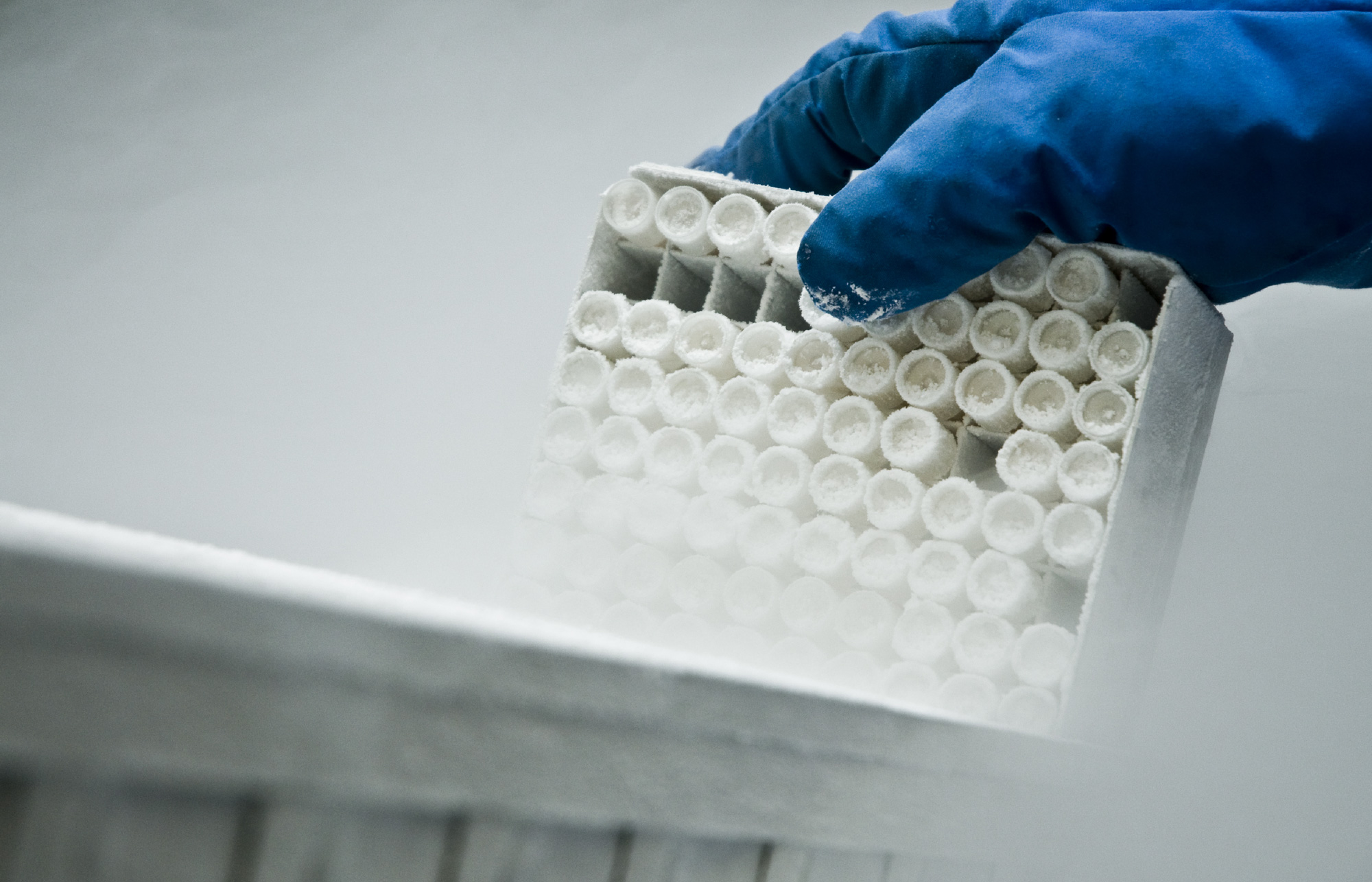 In collaboration with SEHA, Department of Health launches ‘Frozen Red ...