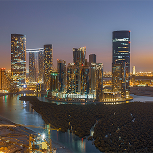 ADQ to acquire leading Turkish pharmaceuticals company Birgi Mefar ...