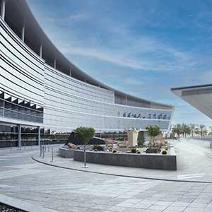 United Arab Emirates University ranks 38th globally and first in UAE in ...